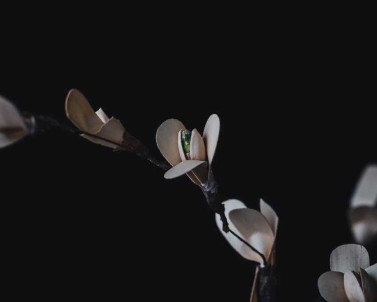 The Future of Advertising on IPTV Platforms - Incline Magazine